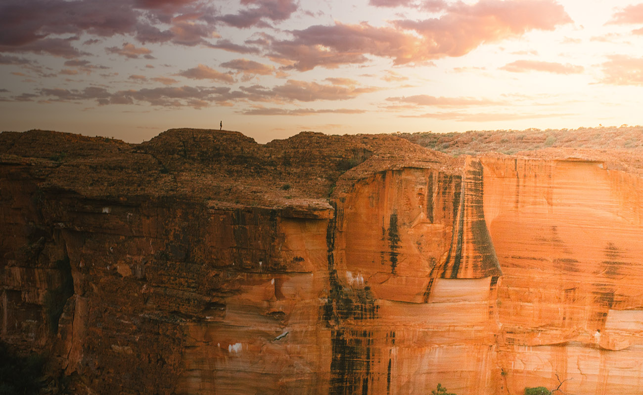 Tours Departing Alice Springs, Alice Springs to Uluru | Emu Run Experience