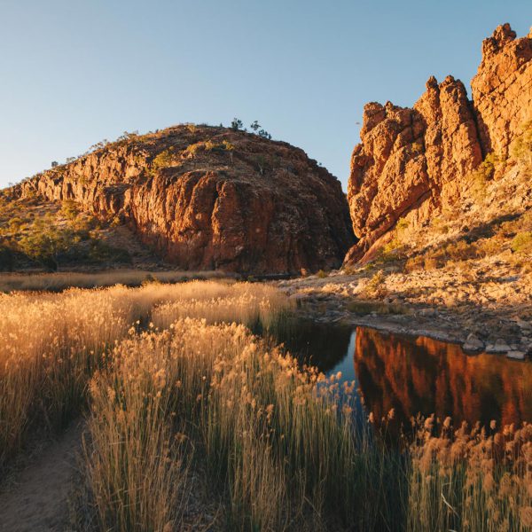 Award-winning Tours of Uluru and Central Australia | Emu Run
