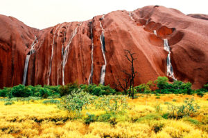 The Mystery Behind Magical Uluru | Emu Run Experience
