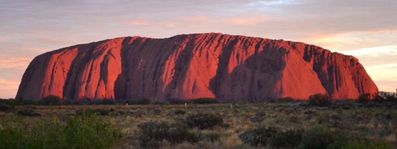 Best Uluru Tours: 2023 Rankings | Emu Run Experience