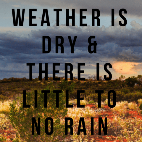 Uluru Weather and the Best Time to Visit - Emu Run Experience