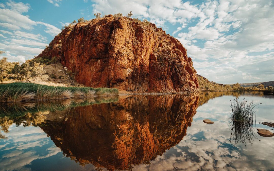 Emu Run Experience | Uluru Tour Packages, Trips & Excursions