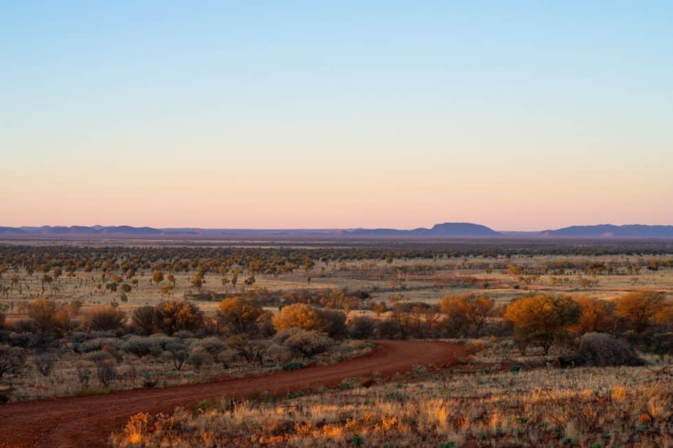 Tours Departing Alice Springs | Alice Springs Tours | Emu Run Experience